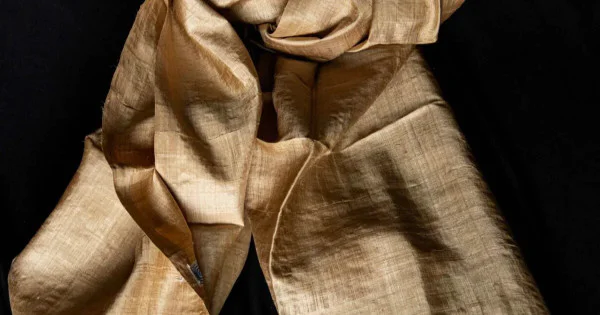 MUGA SILK STOLE (GOLDEN SILK OF ASSAM)
