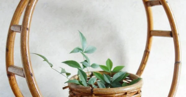 Cane Ring Hanging Planters