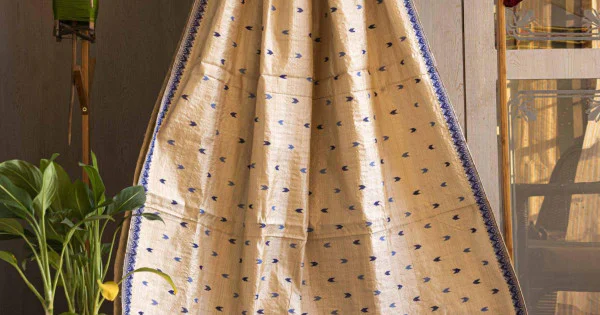 Assamese Muga and Paat Saree